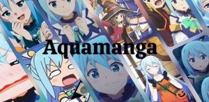What Happened to Aquamanga? A Tale of Hiatus, Hope, and the Future of ...
